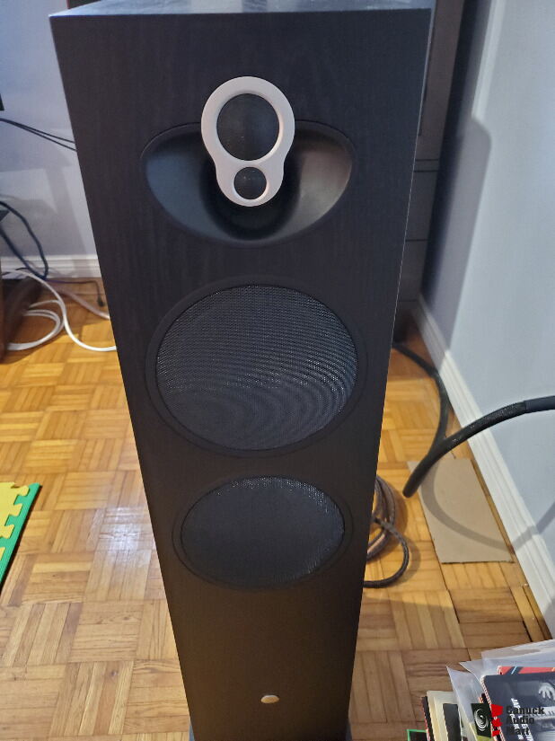 Linn Majik 140 Speakers Photo #3648327 - Canuck Audio Mart