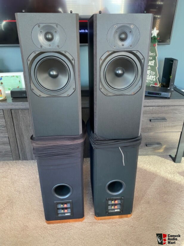 Pair of Paradigm Export BP Speakers with Original Boxes Photo #3649662 ...