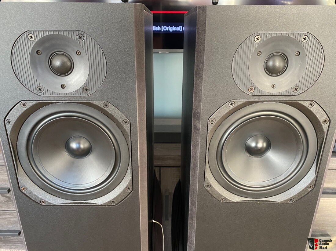 Pair of Paradigm Export BP Speakers with Original Boxes Photo #3649662 ...