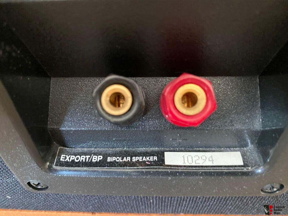 Pair of Paradigm Export BP Speakers with Original Boxes Photo #3649660 ...