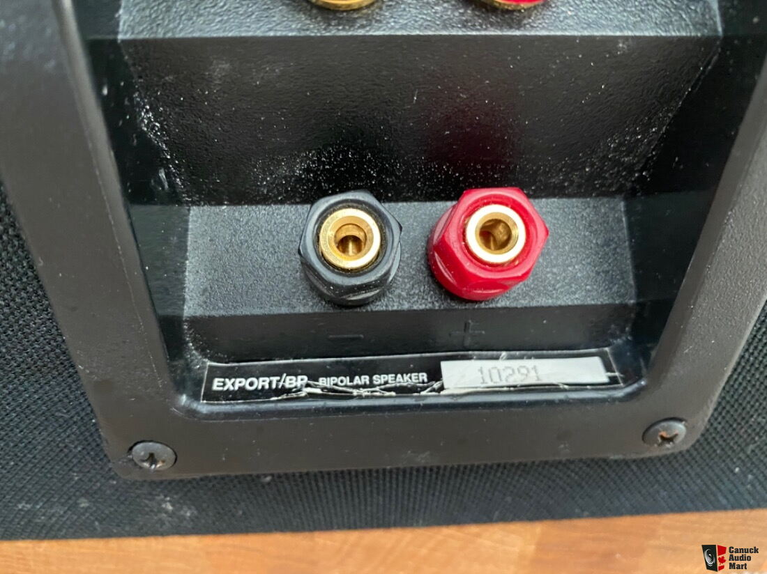 Pair of Paradigm Export BP Speakers with Original Boxes Photo #3649660 ...