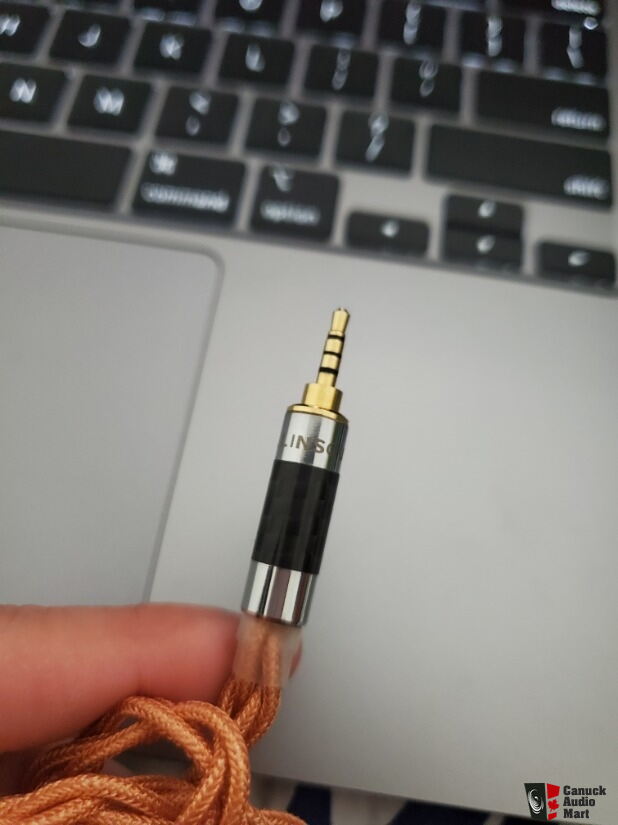 Linsoul LSC09 2.5mm 2-pin Balanced Cable Photo #3654308 - Canuck Audio Mart