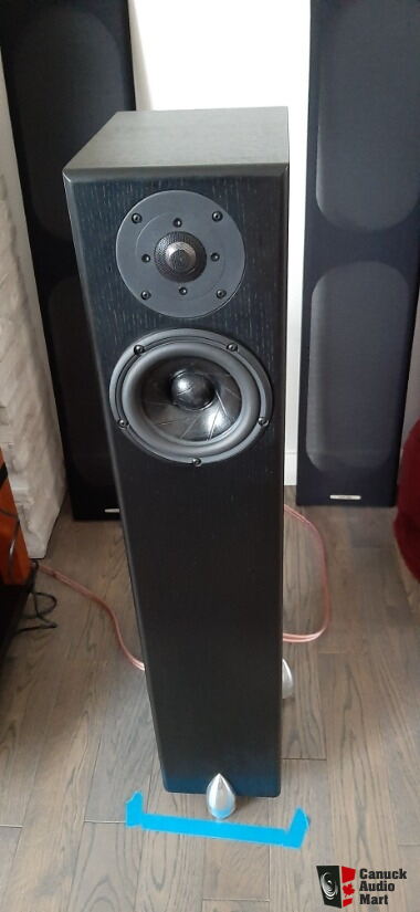 Totem Hawk black ash FIRM PRICE DROP Photo #3666519 - US Audio Mart