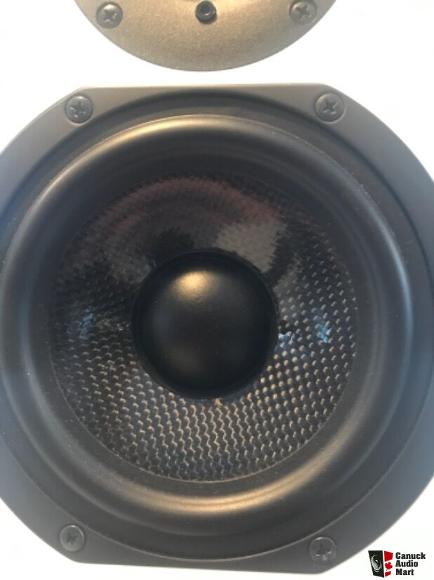 Adam Artist 5 Active Bookshelf Speaker Made in Germany Photo #3684206 ...