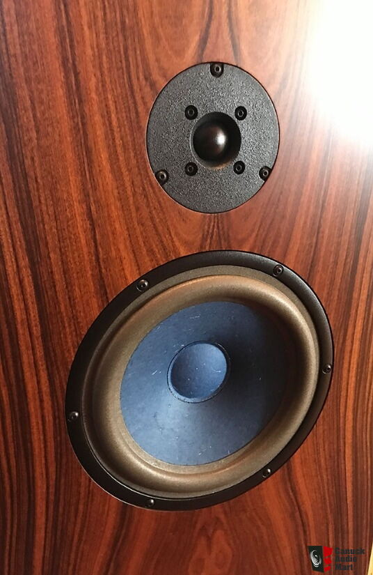 Sale Pending - Audio Note AN-E/SPe HE Loudspeakers with AN stands Photo ...