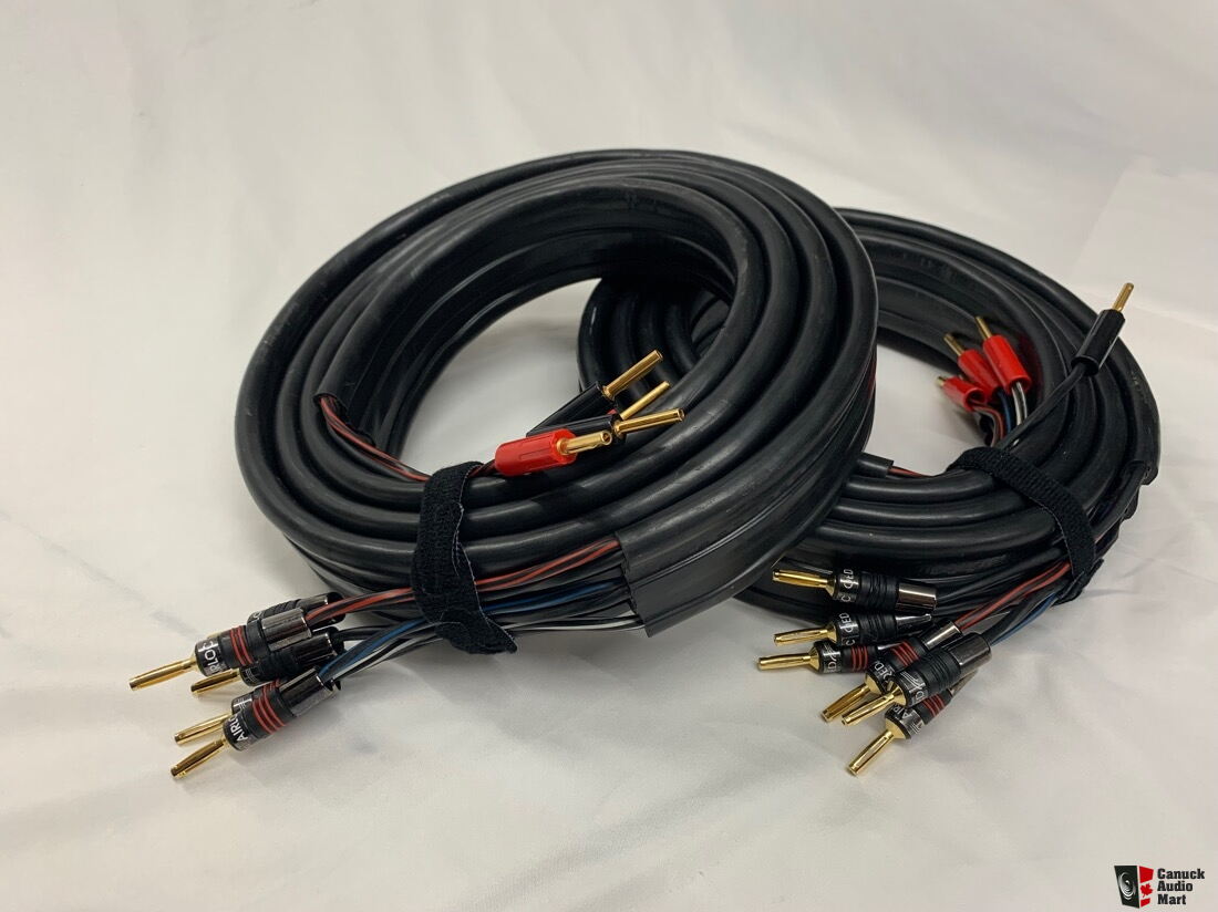 Linn Speaker Cables - K-600 - K400 - K20 Photo #3696793 - Canuck Audio Mart