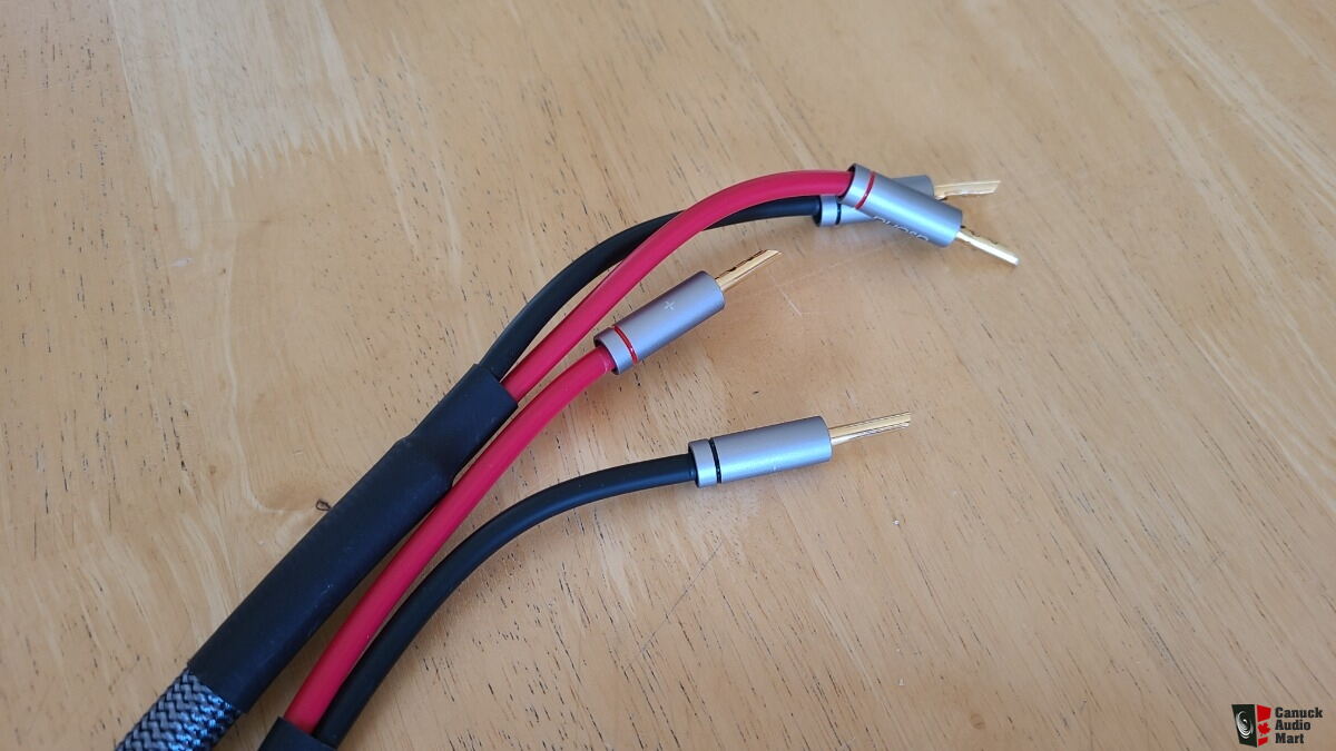 Speakers Cables 8 feets Asona For Sale - Canuck Audio Mart