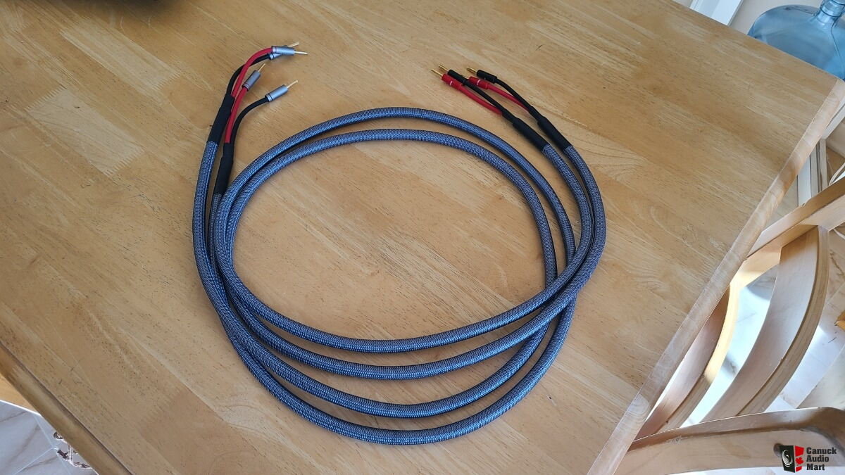 Speakers Cables 8 feets Asona Photo #3700119 - UK Audio Mart