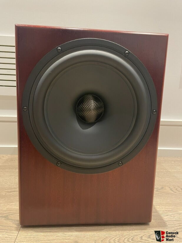 Totem Thunder Subwoofer For Sale - Canuck Audio Mart