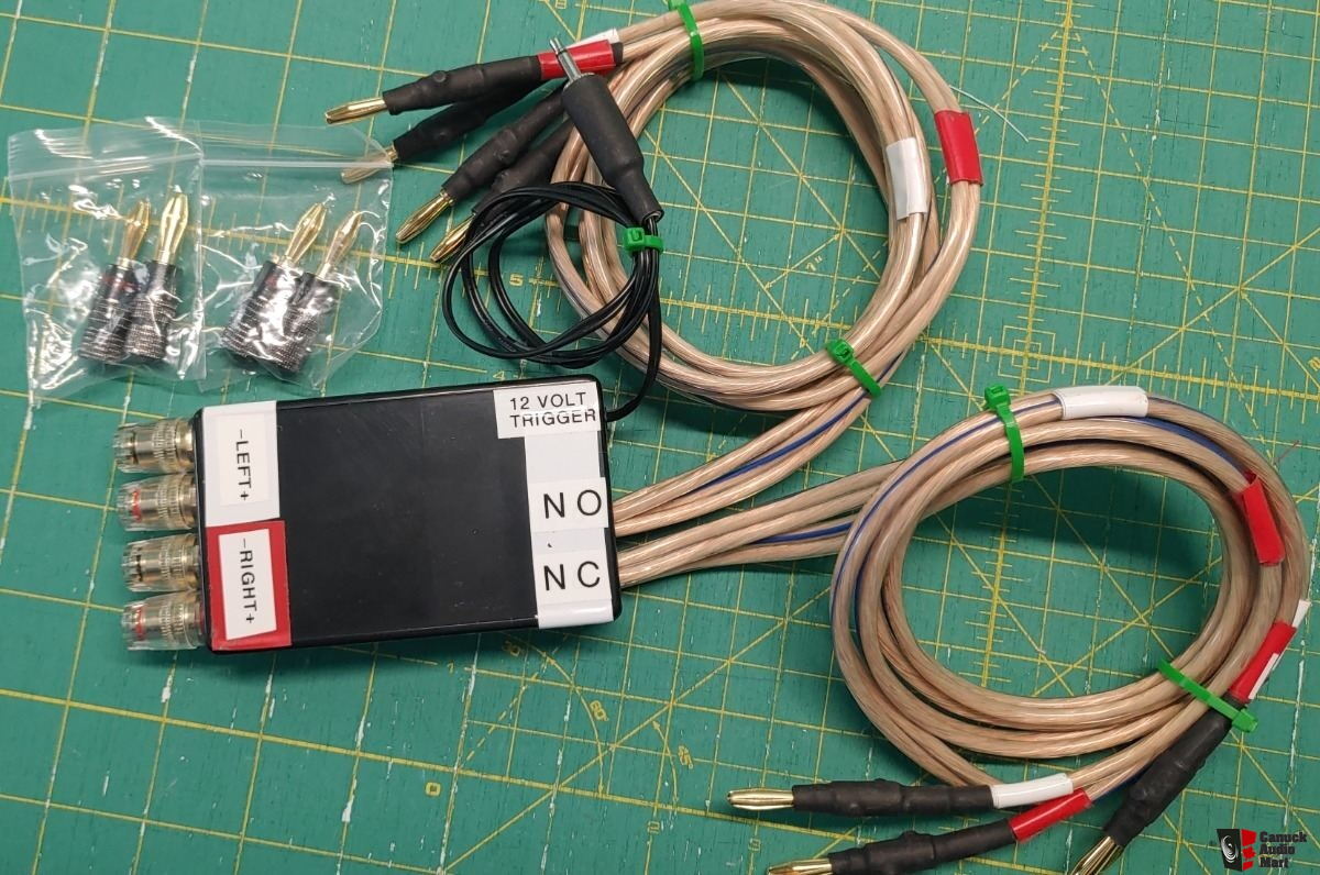 Automatic (triggered) amps to speaker selector For Sale - Canuck Audio Mart