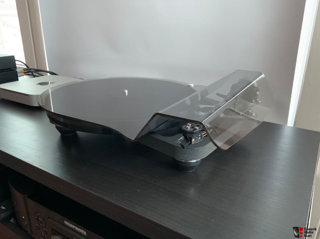 Rega P8 mint Photo #3735427 - Canuck Audio Mart