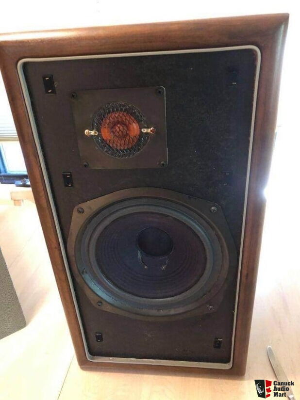 New Large Advent Parts Wanter Woofer-Driver Photo #3756547 - UK Audio Mart
