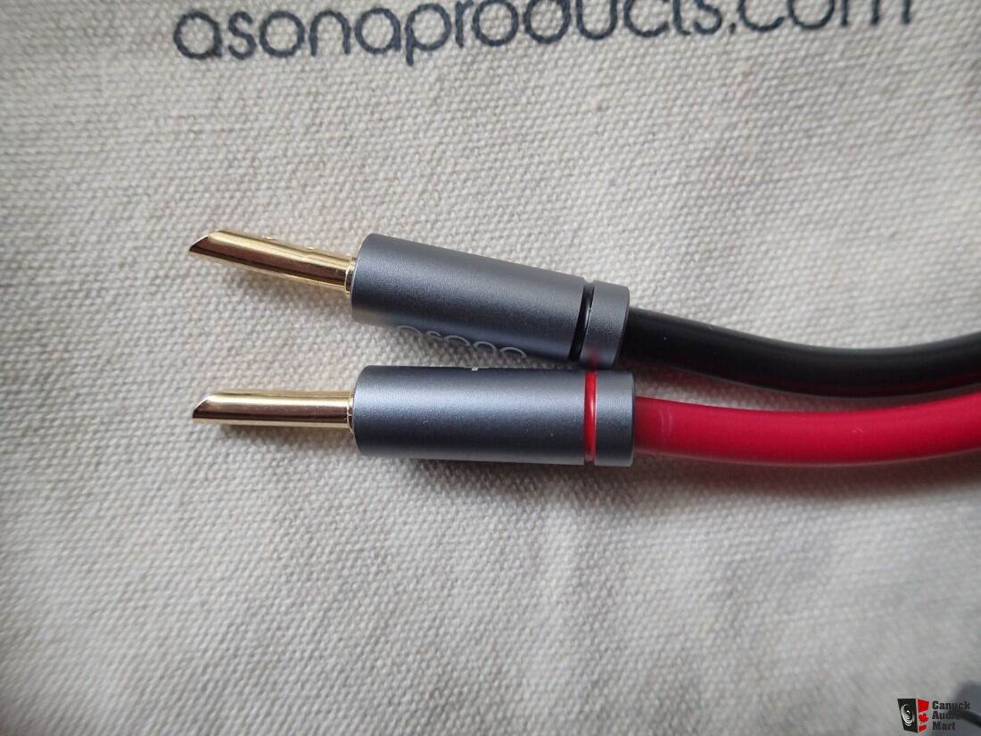 Asona 6ft speaker wire Photo #3760255 - Canuck Audio Mart
