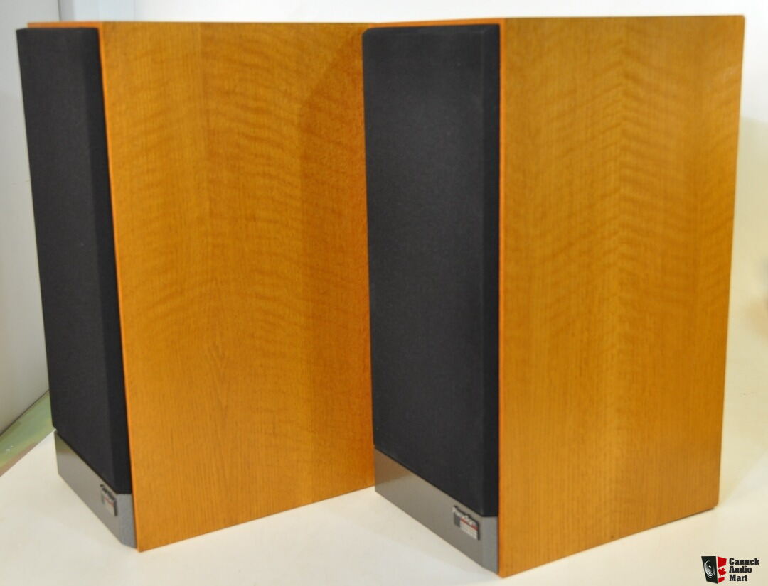 Excellent Paradigm Export Monitor Speakers - Oak Photo #3763324 - US ...