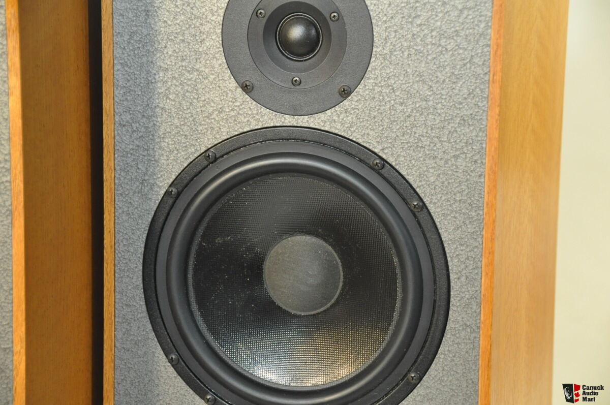 Excellent Paradigm Export Monitor Speakers - Oak Photo #3763324 - US ...