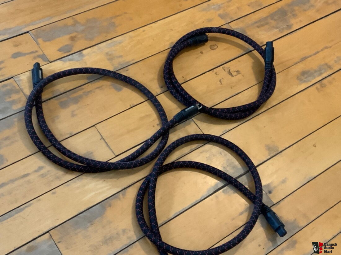 PS Audio 2m Statement SC Power Cable For Sale - Canuck Audio Mart