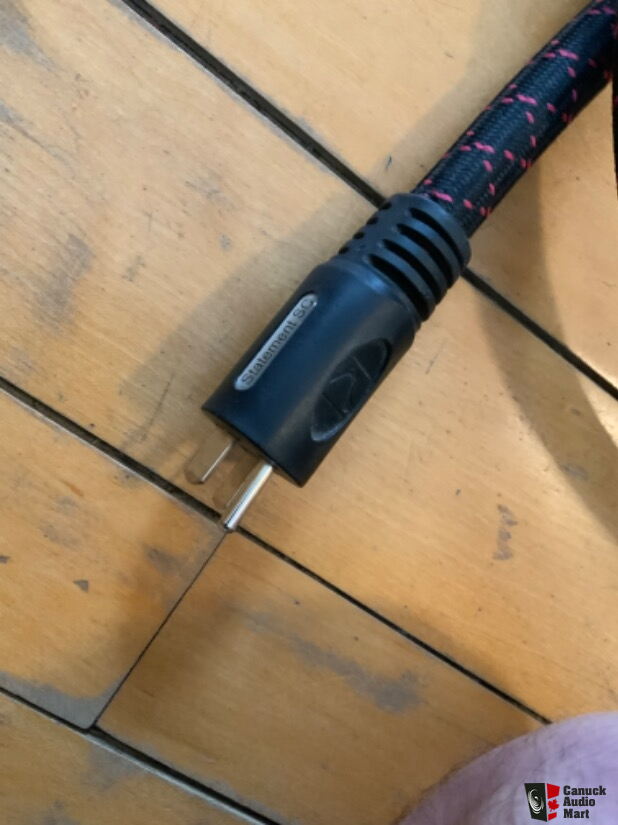PS Audio 2m Statement SC Power Cable Photo #3772217 - Canuck Audio Mart