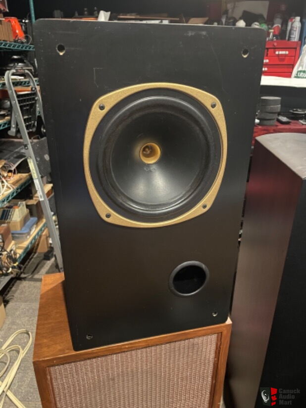Tannoy 10 inch dual concentric speakers Photo #3776628 - Aussie Audio Mart
