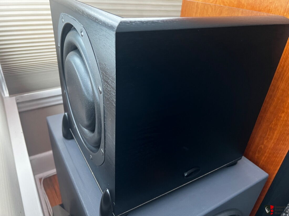 Paradigm Seismic 12 Photo #3780983 - Canuck Audio Mart