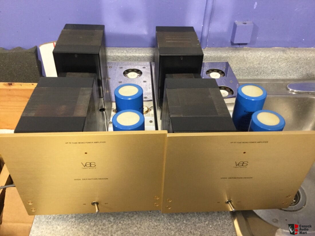 Vas vp50 monoblock tube amp, please read descripition Photo #3789728 ...