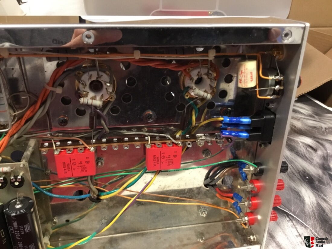 Vas vp50 monoblock tube amp, please read descripition Photo #3789728 ...