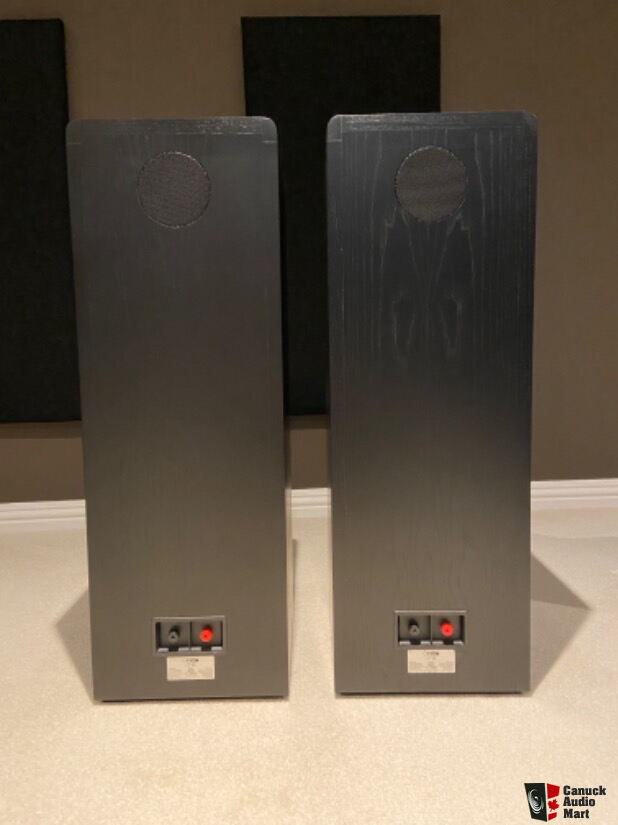 Canton floor standing speakers - model CT-90 Photo #3807047 - Canuck ...