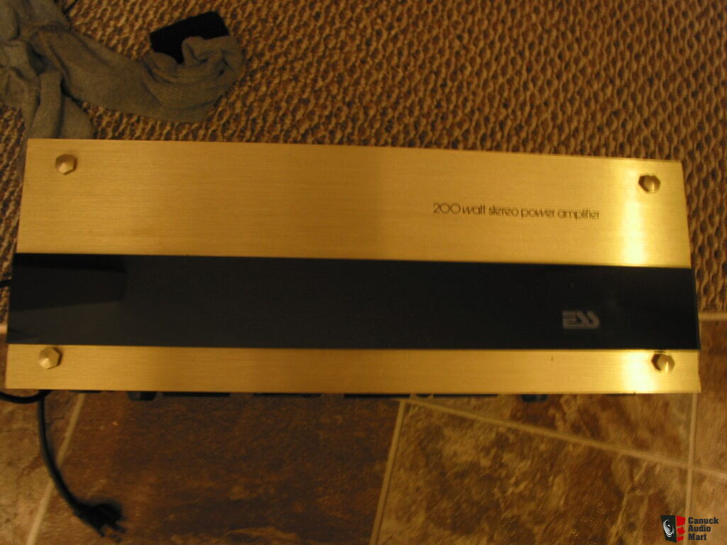 Rare ESS 200 watt Power Amplifier Photo #382114 - Canuck Audio Mart
