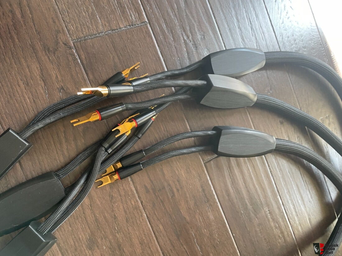 Transparent XL Generation 5 Speaker Cables (8' Pair) Photo #3822770 ...