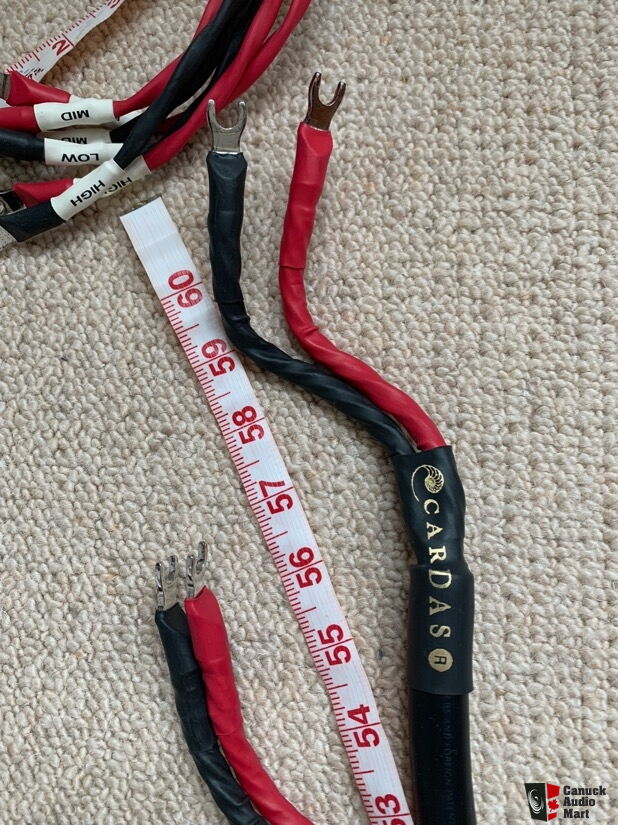 Cardas Golden Reference Triwire (Spades) - 5 Feet Length Photo #3844194 ...