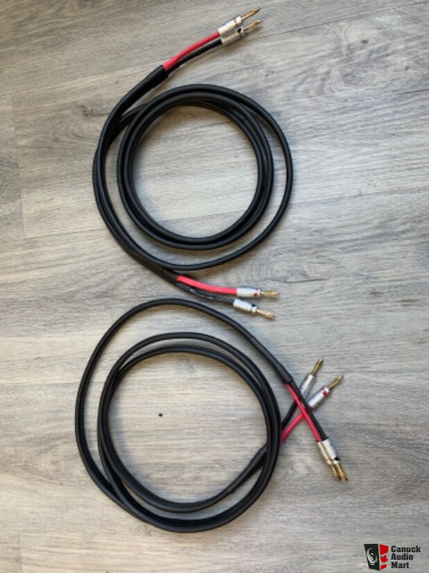Audioquest Rocket 22 speaker cable , 7 feet/pair, 24 K gold plated ...