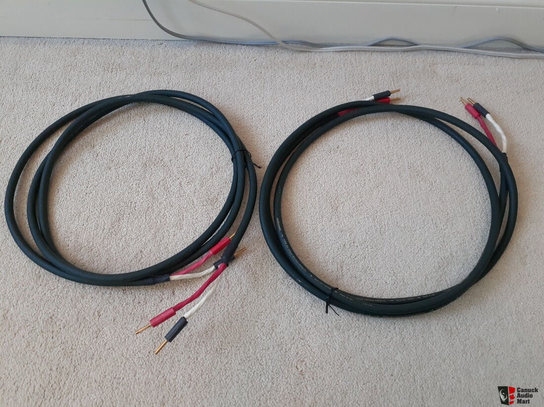 AudioQuest 10' Type 6+ Spread Spectrum Hyperlitz Solid LGC Copper ...