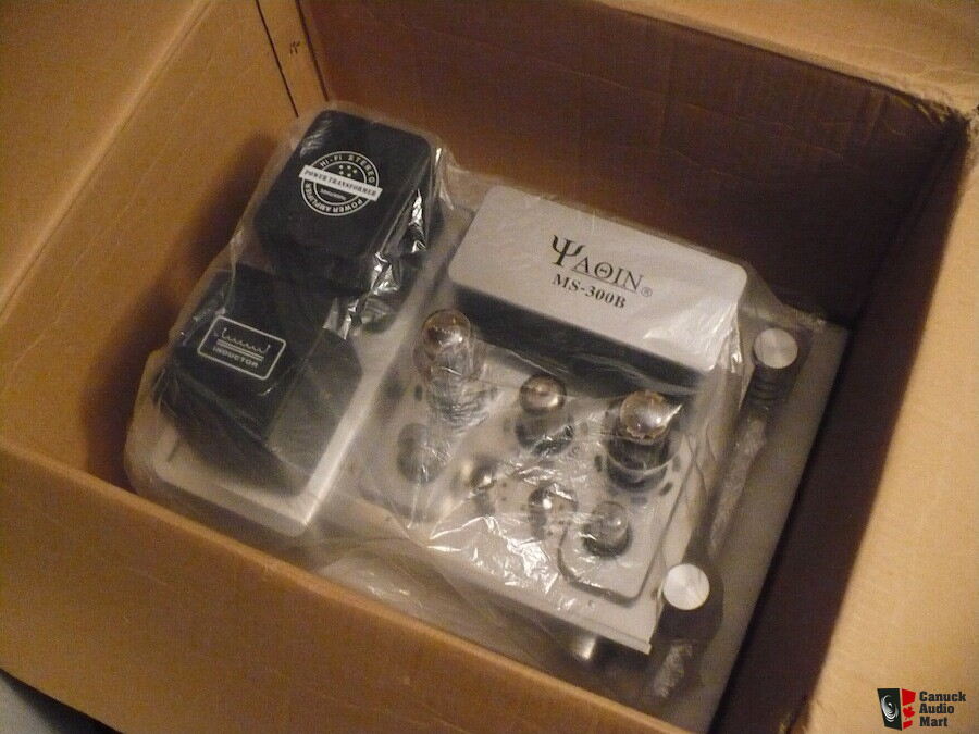 YAQIN 300B SET high end amp Photo #386189 - Canuck Audio Mart