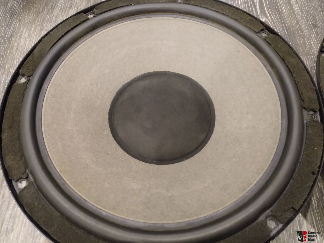 Pair of Vintage Philips 12" Woofers Photo #3868642 - Canuck Audio Mart
