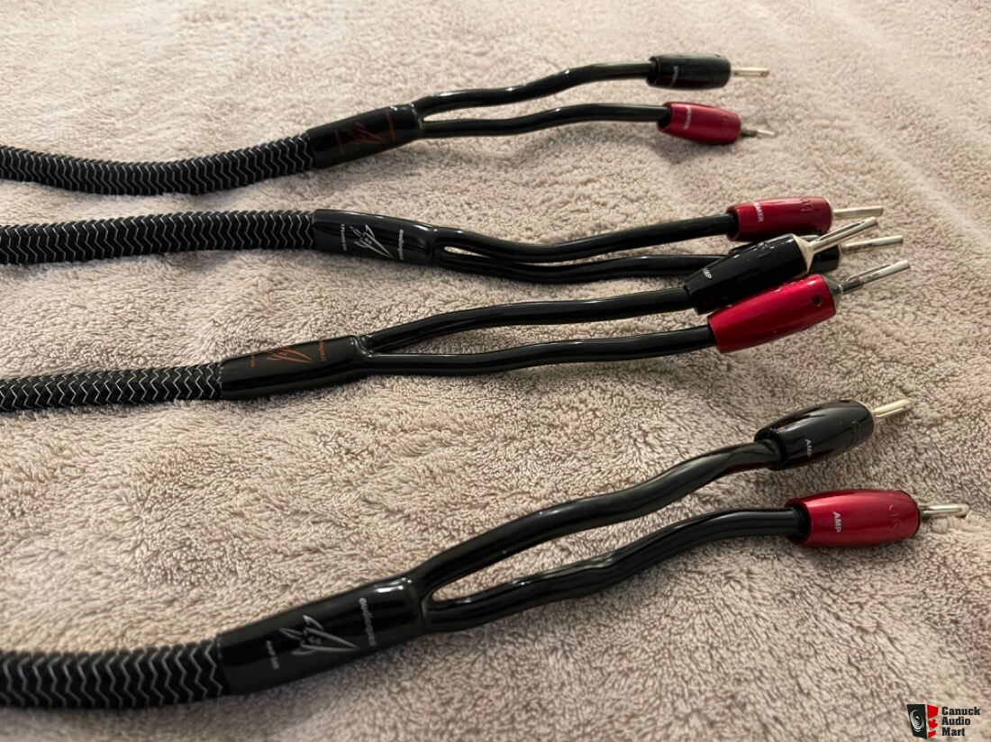Audioquest Rocket 44's For Sale - Canuck Audio Mart