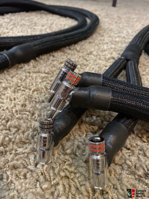 NRG custom cable 9ft For Sale - Canuck Audio Mart