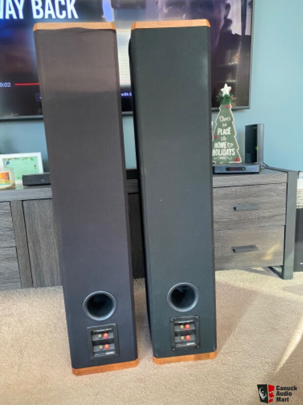 Pair of Paradigm Export BP Speakers with Original Boxes Photo #3876135 ...