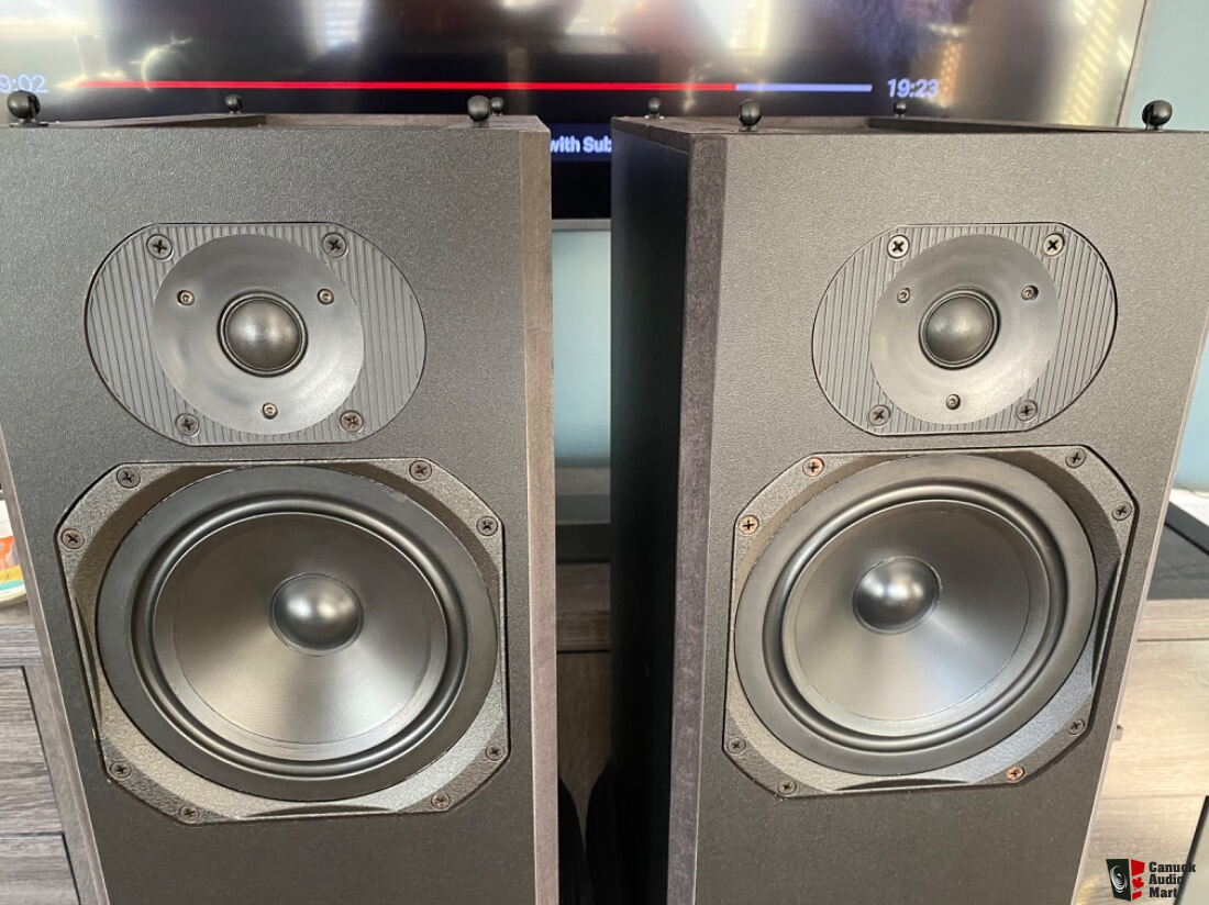 Pair of Paradigm Export BP Speakers with Original Boxes Photo #3876140 ...