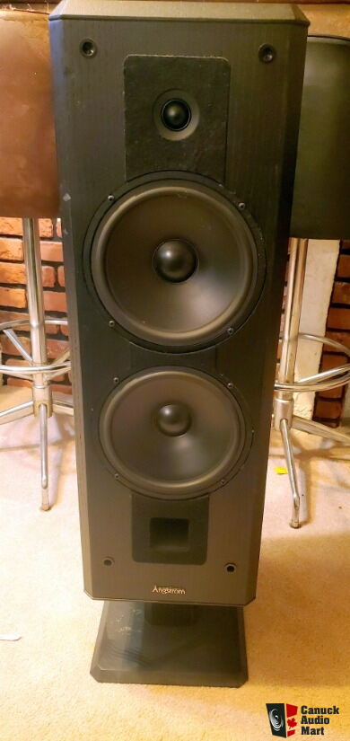 Angstrom Reflexion Floor Standing Speakers - $500 OBO Photo #3881325 ...