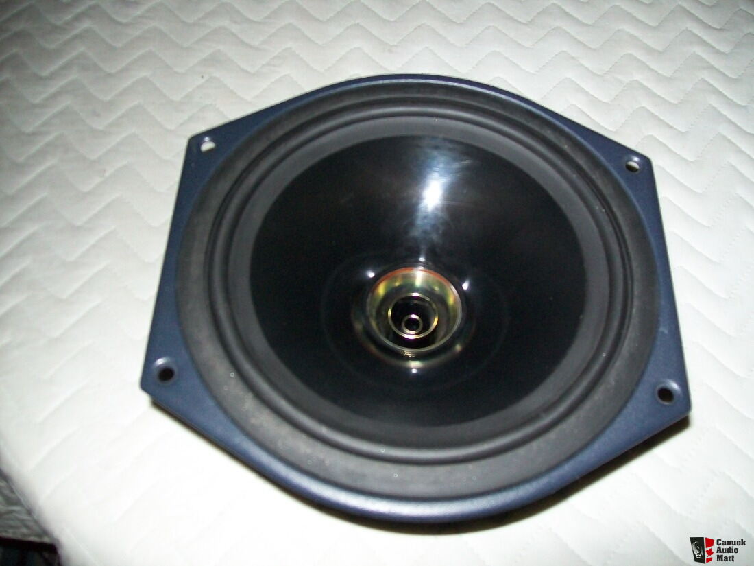 Tannoy 615 - 2 Dual Concentric 2040 Speaker (1 only), 8 Inch, 1993-94 ...