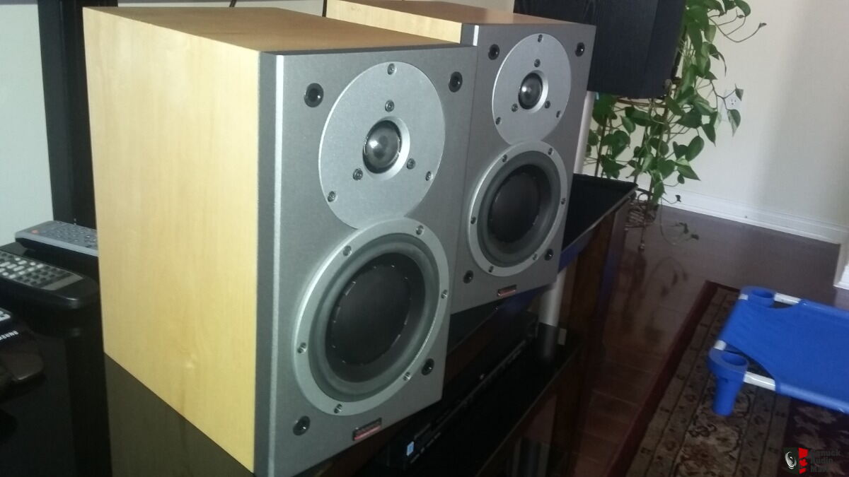 Dynaudio Audience A42 and A40 Photo #3888528 - Canuck Audio Mart