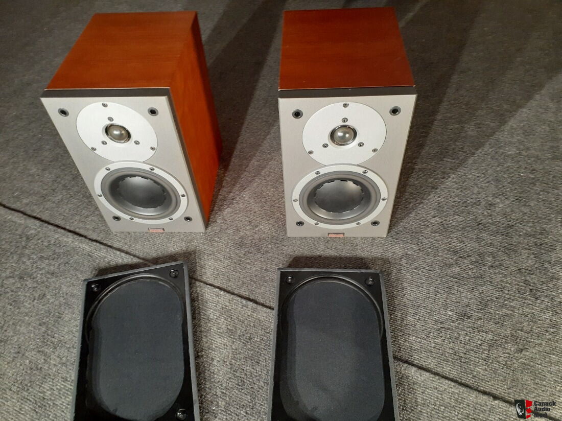 Dynaudio Audience A42 and A40 Photo #3888528 - Canuck Audio Mart
