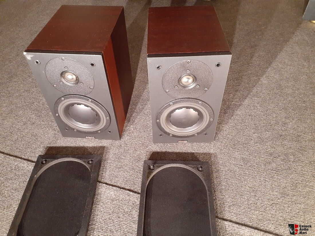 Dynaudio Audience A42 and A40 Photo #3888531 - Canuck Audio Mart