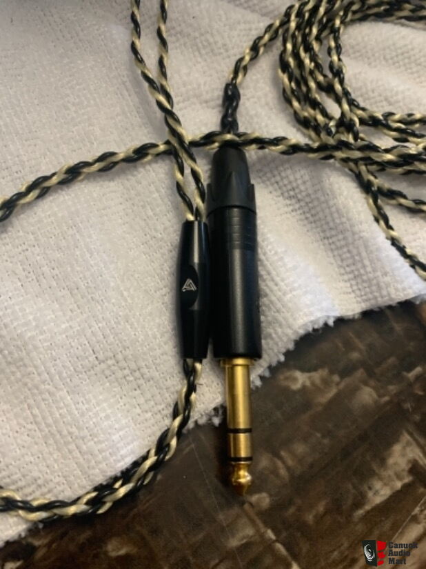 Audeze 8 ft upgraded braided cable For Sale - Canuck Audio Mart