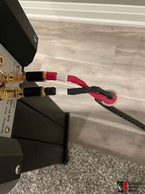 Audio Sensibility Statement Cables Photo #3901920 - US Audio Mart