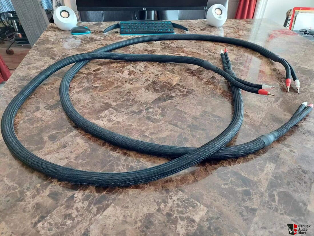NRG The 6:6 Speaker Cables 2.5m pair Photo #3902318 - US Audio Mart