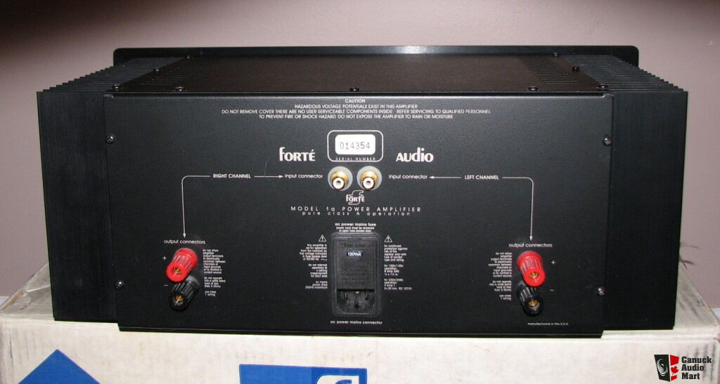 Forte 1a Class A Amplifier Photo #390660 - Canuck Audio Mart