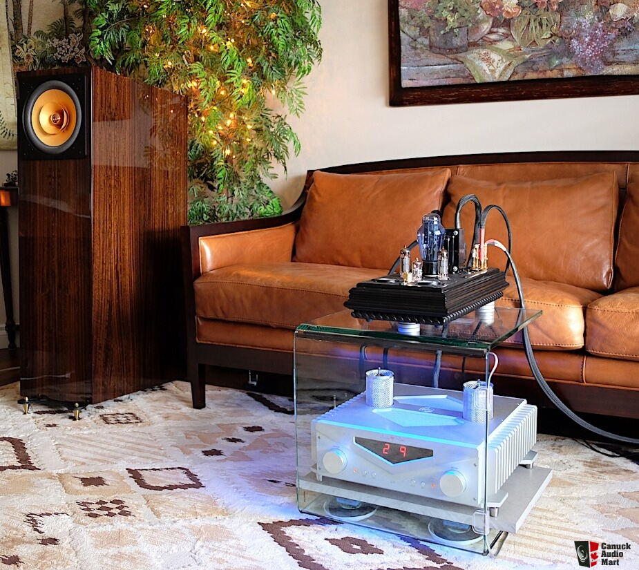 Cube Audio Nenuphar - gorgeous Smoked Eucalyptus - "... HiFi Heaven ...