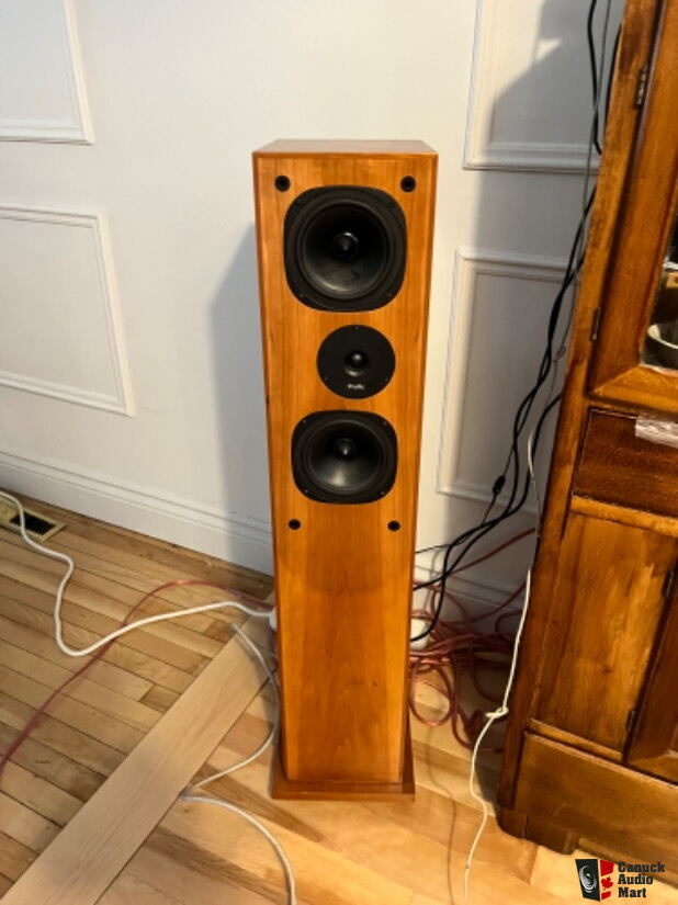 Proac studio 150 Photo #3926772 - Canuck Audio Mart