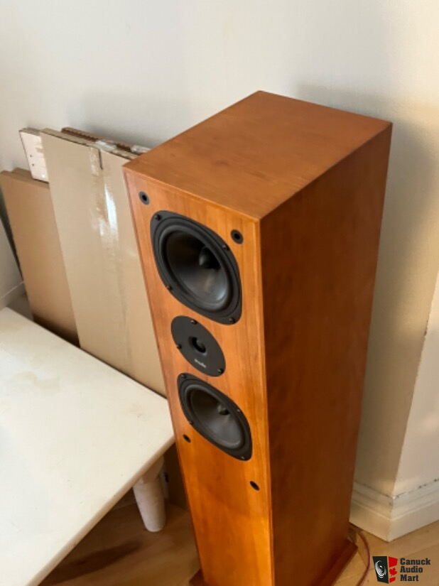 Proac studio 150 Photo #3926772 - Canuck Audio Mart
