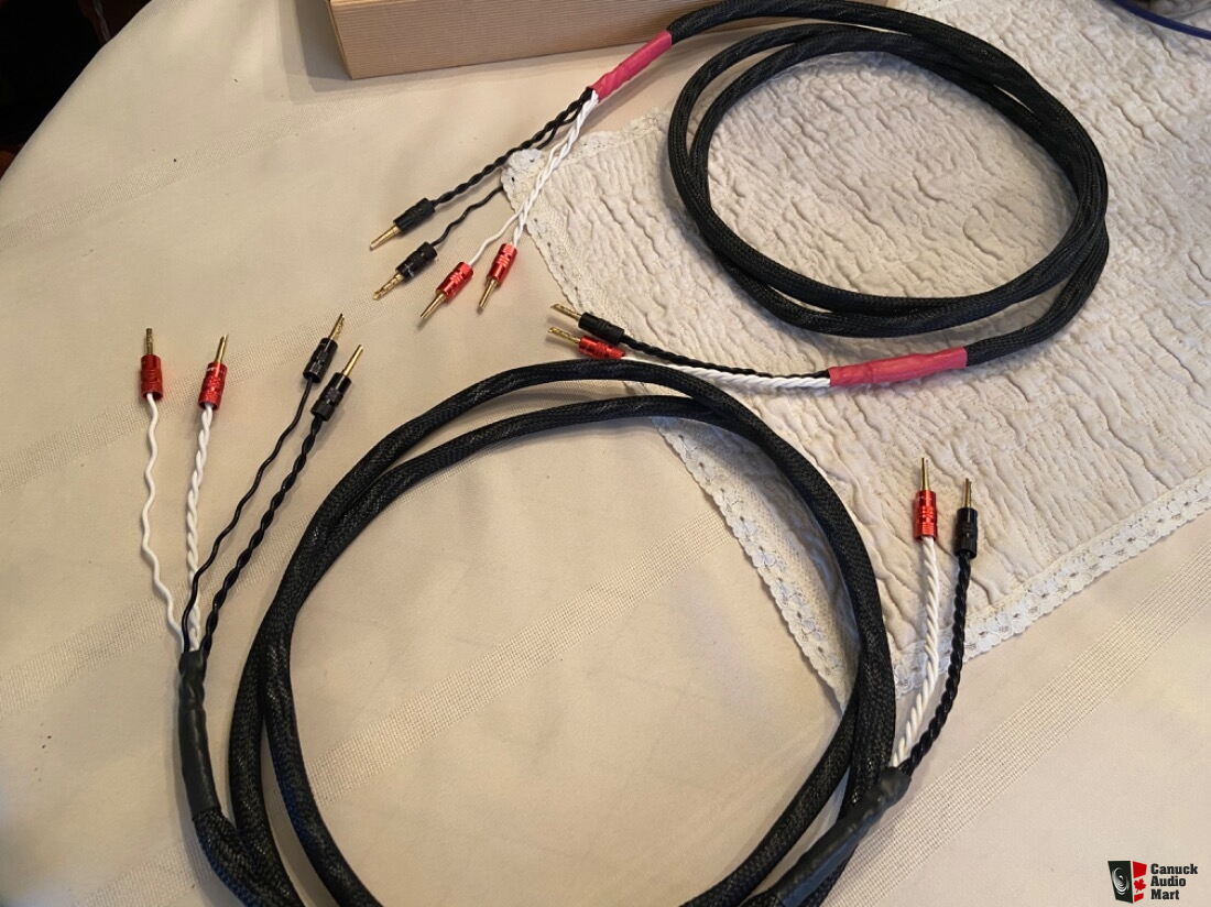 Totem Tress Bi Wire Speaker Cables - 8 ft Pair Photo #3941502 - Canuck ...